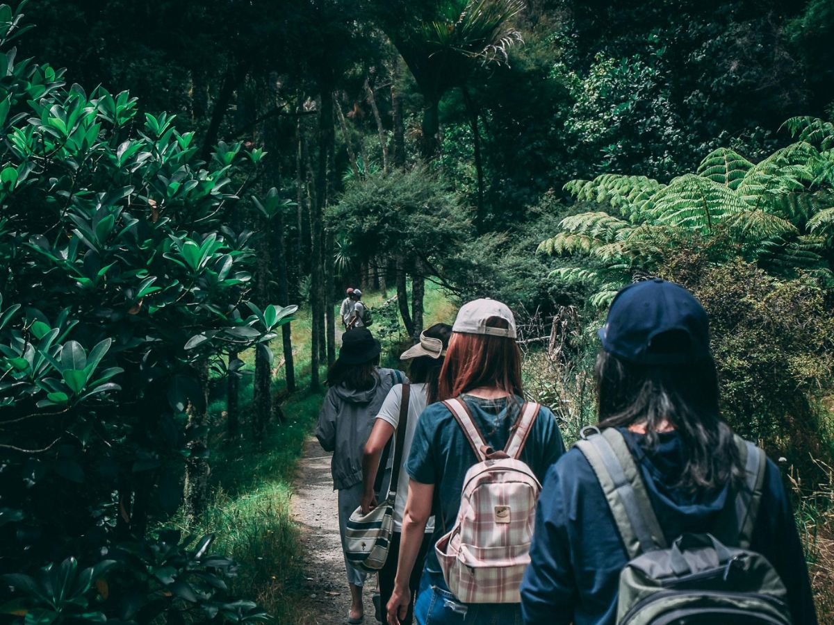 Toronto's Scenic Hikes: Top 15 Trails with Breathtaking Views