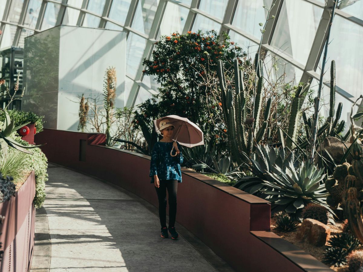Explore Top 12 Indoor Gardens in Toronto: A Visitor's Guide