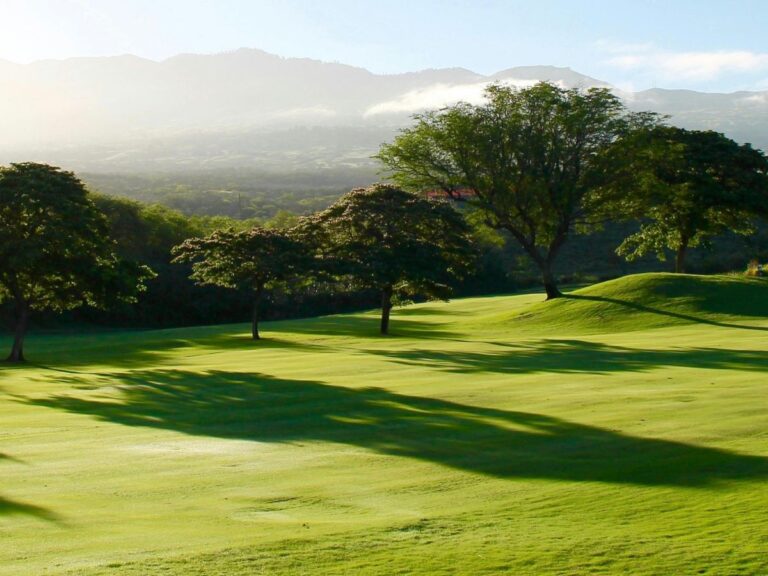 Explore Top 15 Public Golf Courses in Toronto - Play & Save