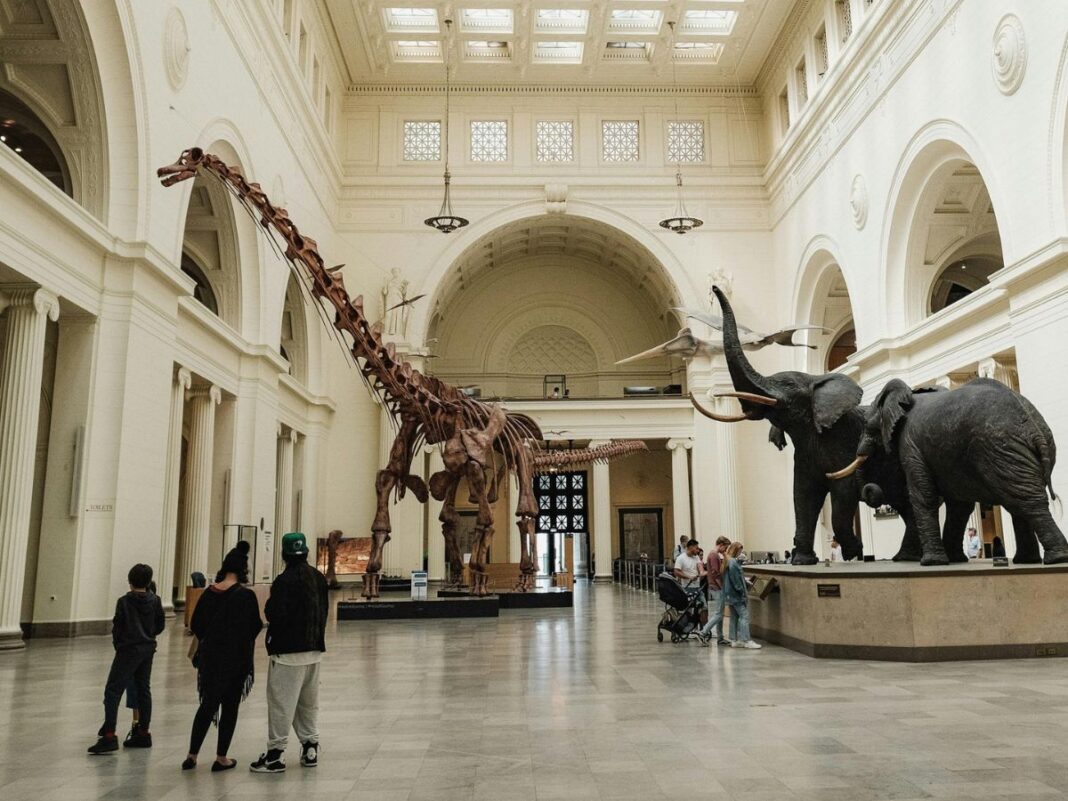 Explore Toronto's 19 Best Museums: Art, History, and Family Fun