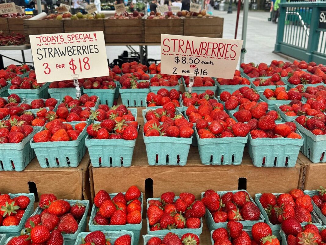 Discover the 20 Best Food Markets and Halls in Toronto