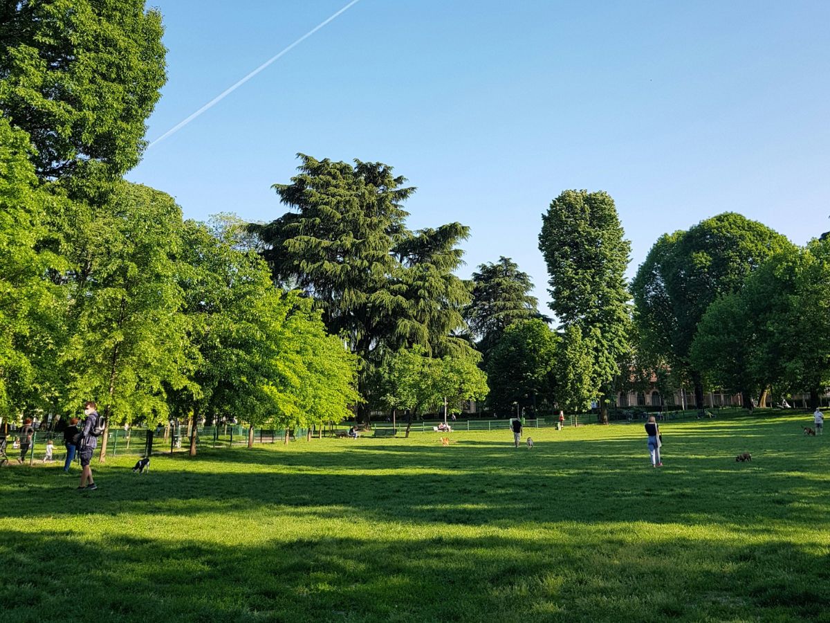 David A. Balfour Park in Rosedale: Trails, Activities & Facilities